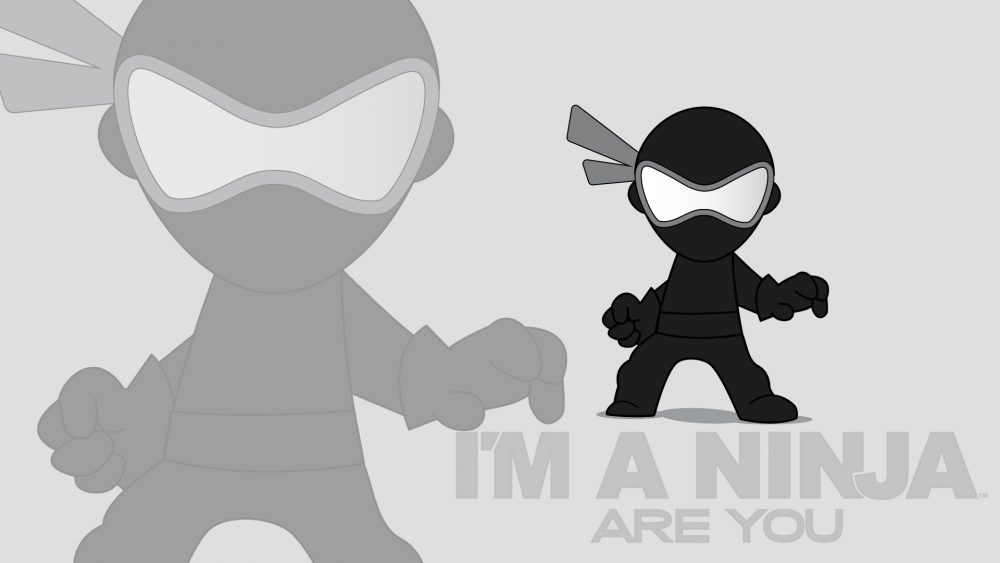 The 8 Secrets Of The Ninja Code Life Lesson Learnings