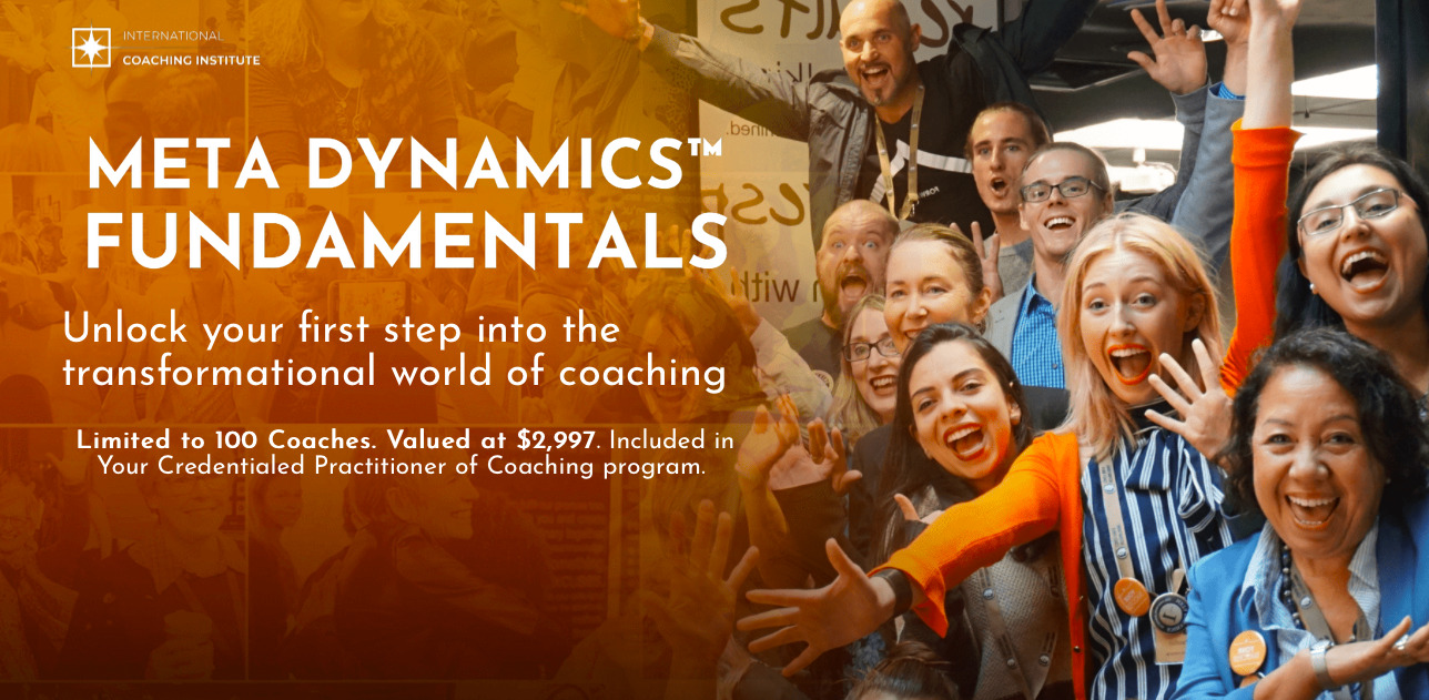 Meta Dynamics™ Fundamentals